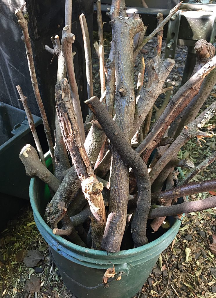 Extra Thick Wood Tree Branches for Arts, Crafts, Home Decor, Habitat ...